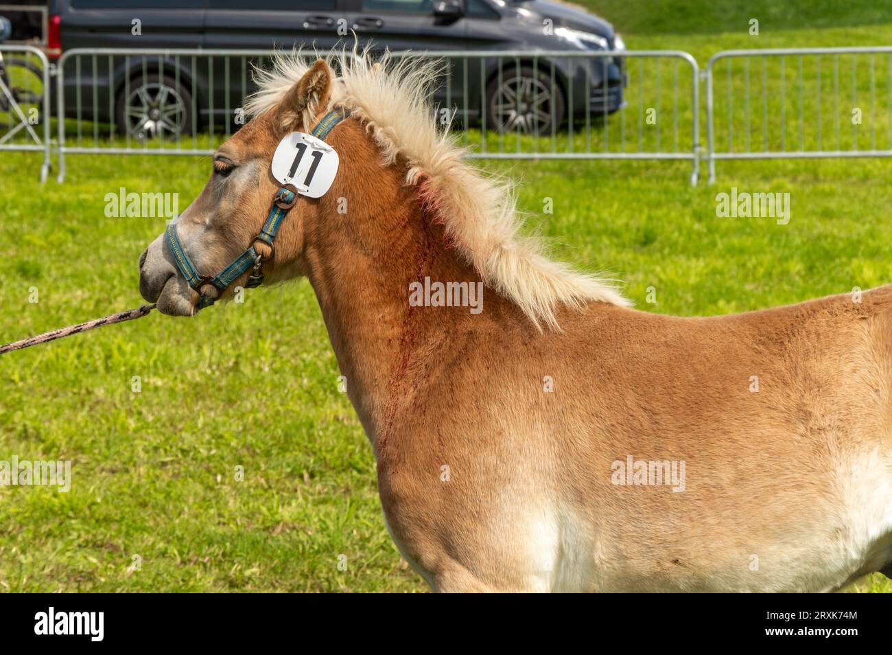 After injection hi-res stock photography and images - Alamy