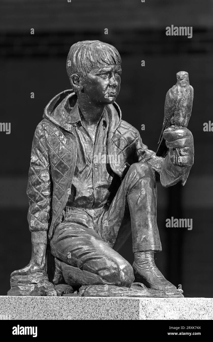 A sculpture Billy Casper in the film 'Kes' which has been installed in ...