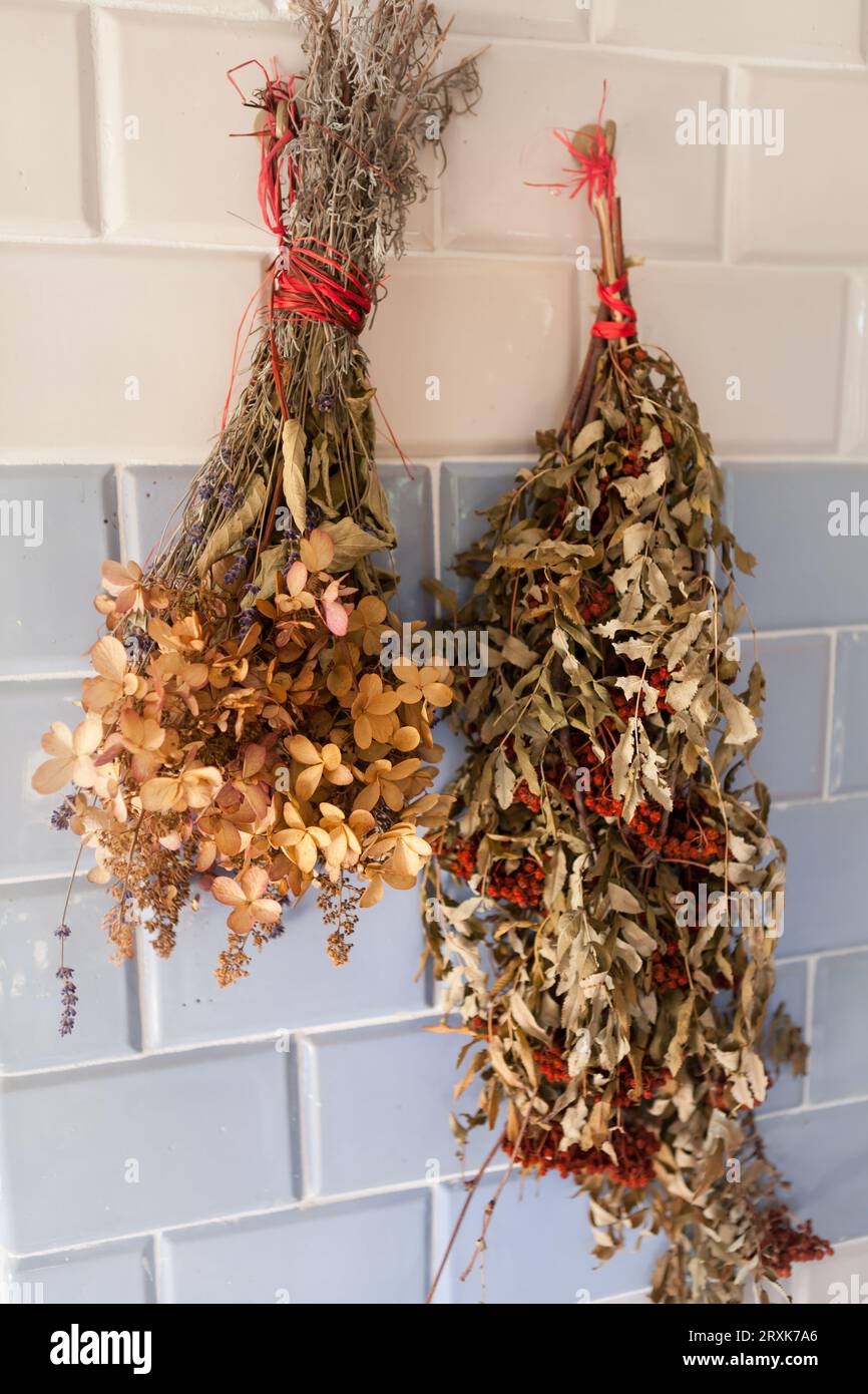 Drying herbs on the stove Stock Photo - Alamy