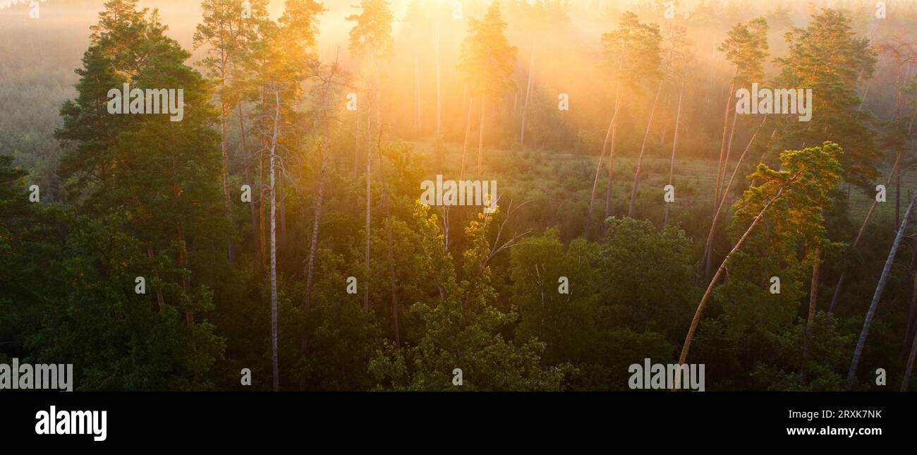 Embracing Dawn's Arrival: Colors of Hope and Tranquility in the ...