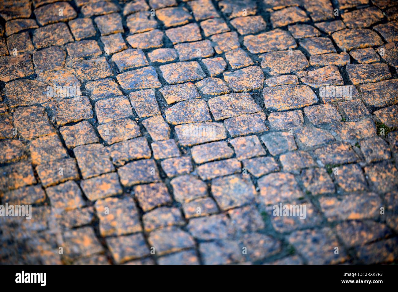 Berlin, Germany. 25th Sep, 2023. Paint residue can be seen on the ...