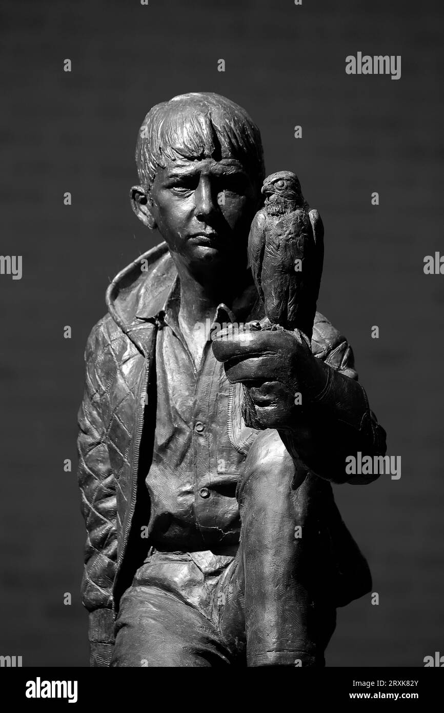 A sculpture Billy Casper in the film 'Kes' which has been installed in ...
