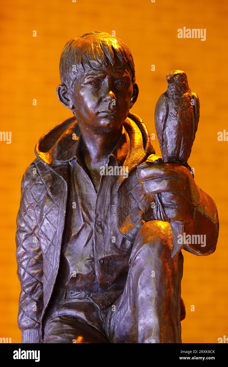 Kes icon hi-res stock photography and images - Alamy