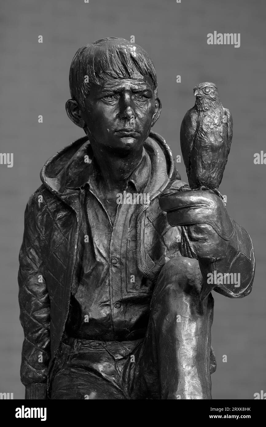 A sculpture Billy Casper in the film 'Kes' which has been installed in ...