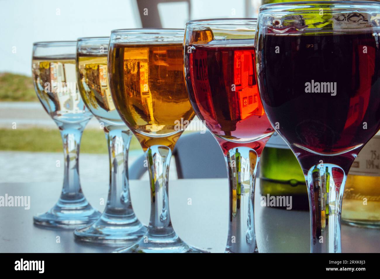 Row Of Small Wine Glasses With Different Kind Of Wine Glasses With White Rose And Red Wine