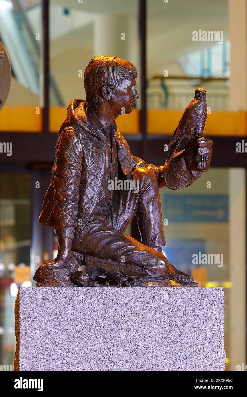 A sculpture Billy Casper in the film 'Kes' which has been installed in ...