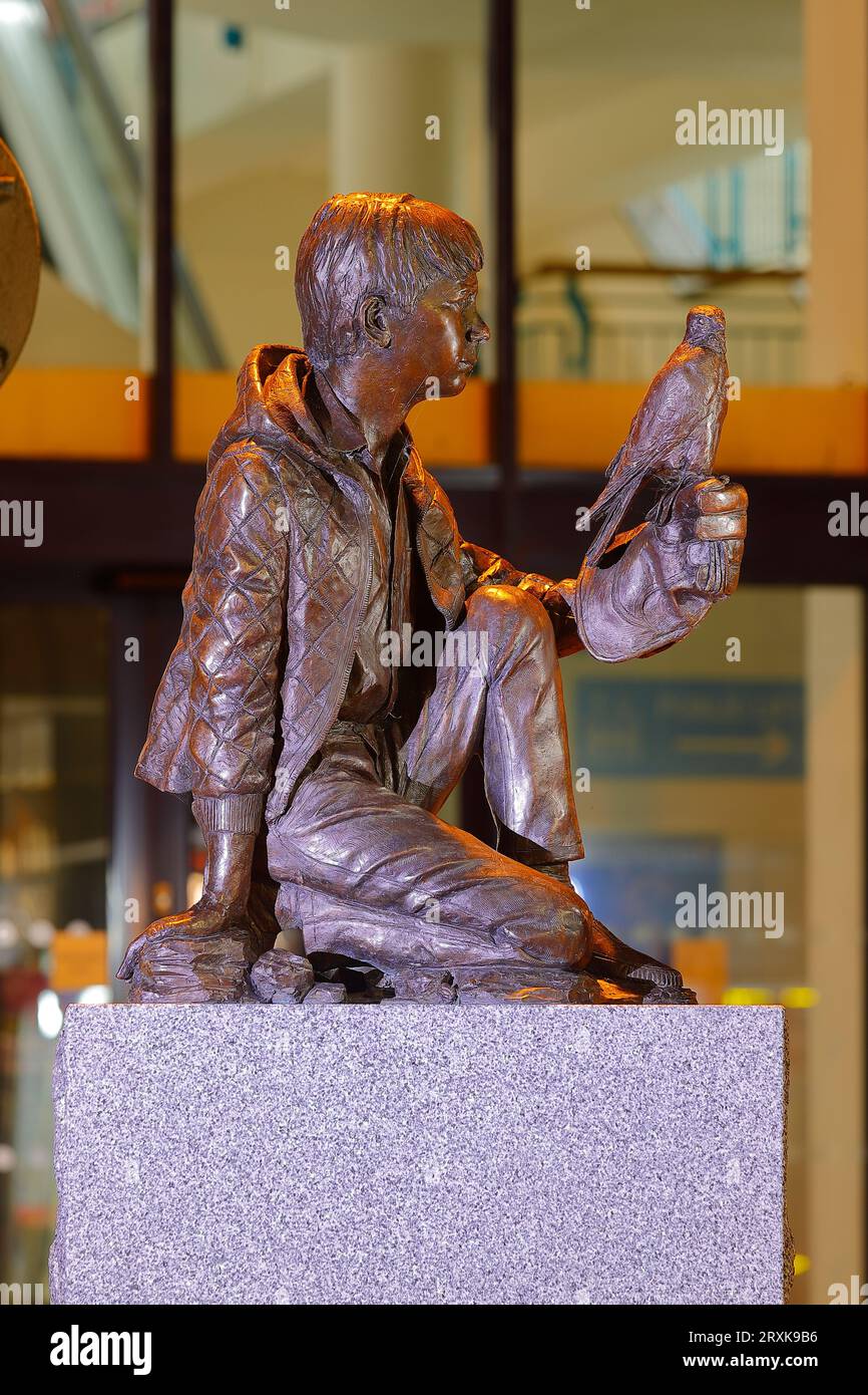 A sculpture Billy Casper in the film 'Kes' which has been installed in ...
