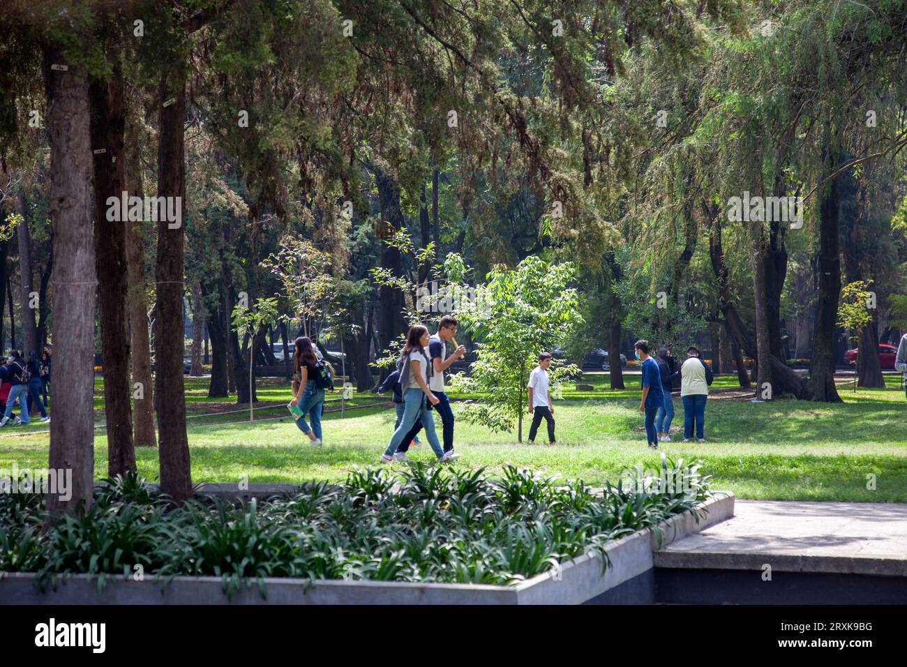 People in Chapultepec Park - Mexico City, Mexico Stock Photo - Alamy