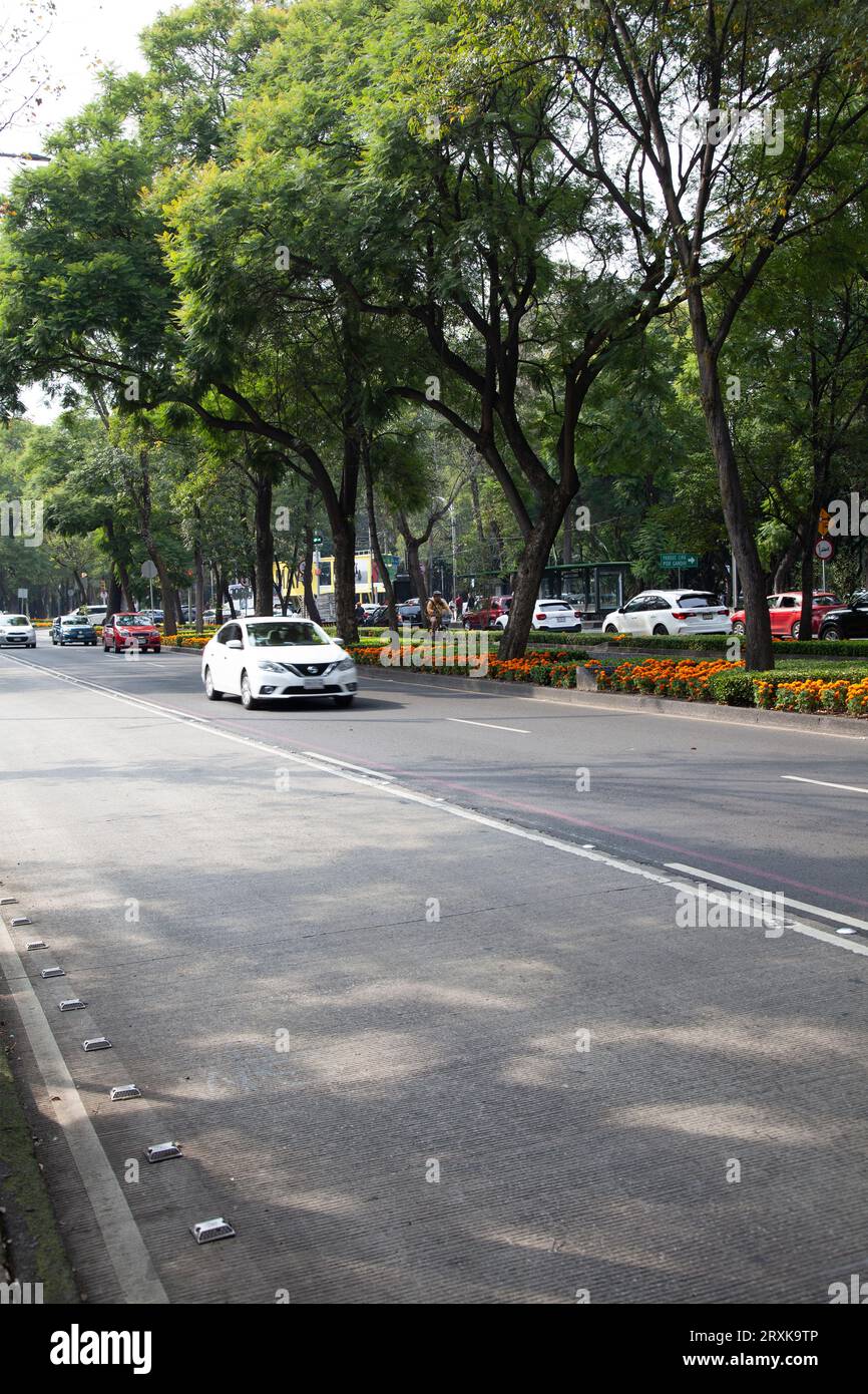 Avenida Reforma Through Chapultepec Park in Mexico City, Mexico Stock ...