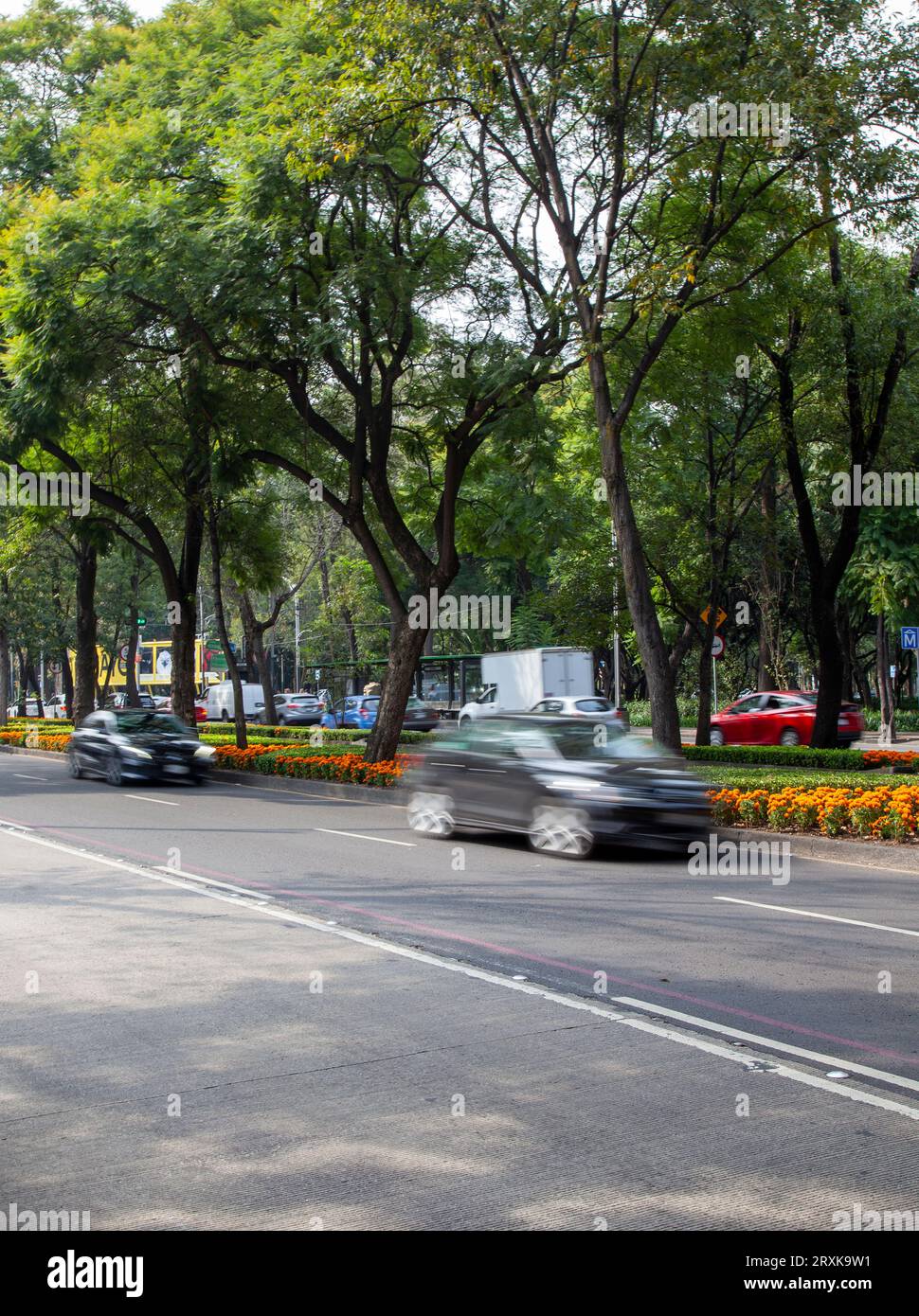 Pedestrianised mexico hi-res stock photography and images - Alamy