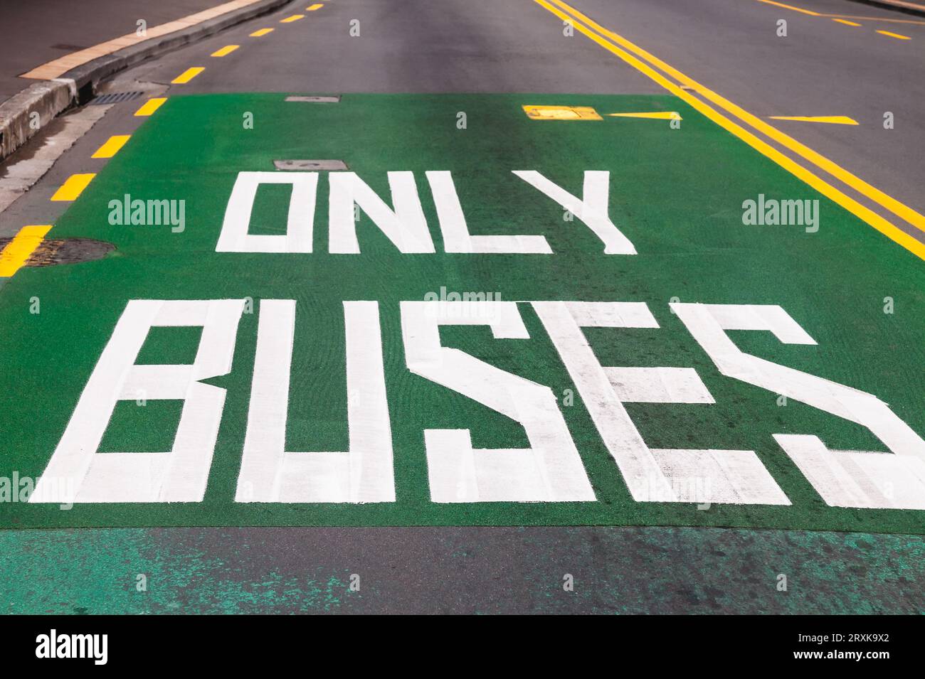 Painted white and green Only Buses traffic symbol on a city street ...