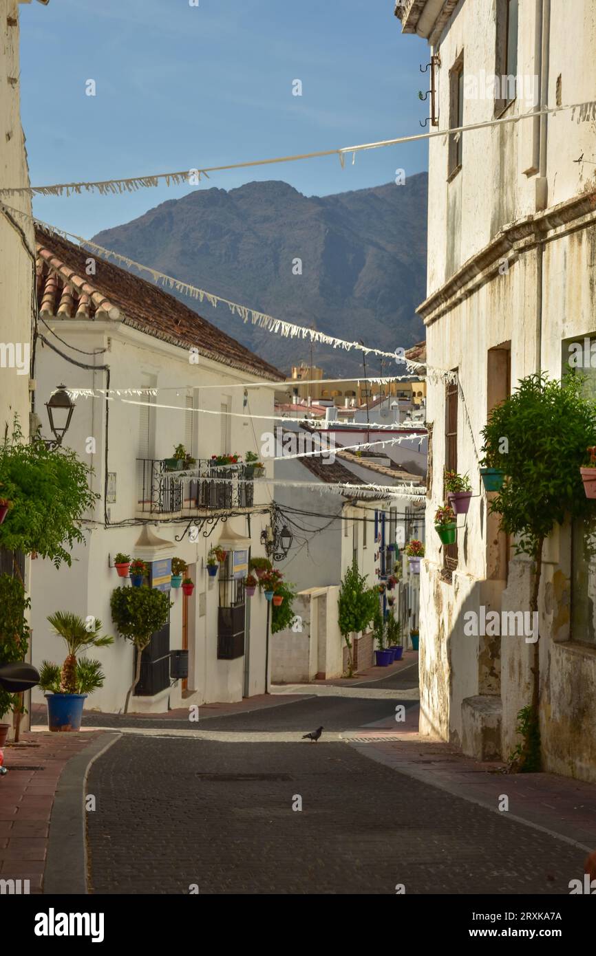 Estepona, charming old town of a Spanish town on the Costa del Sol on a ...