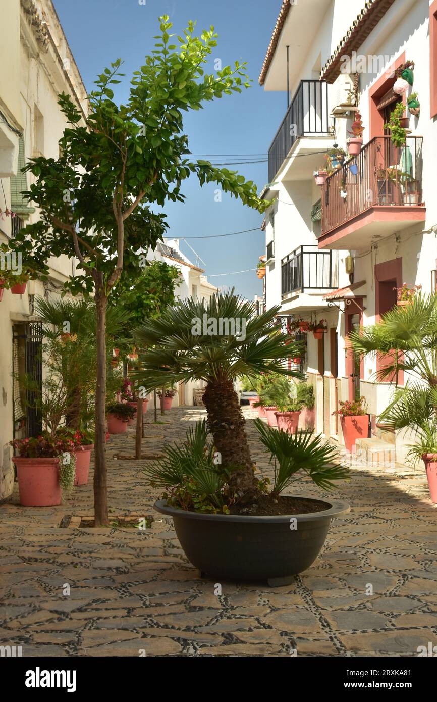 Old town estepona hi-res stock photography and images - Alamy