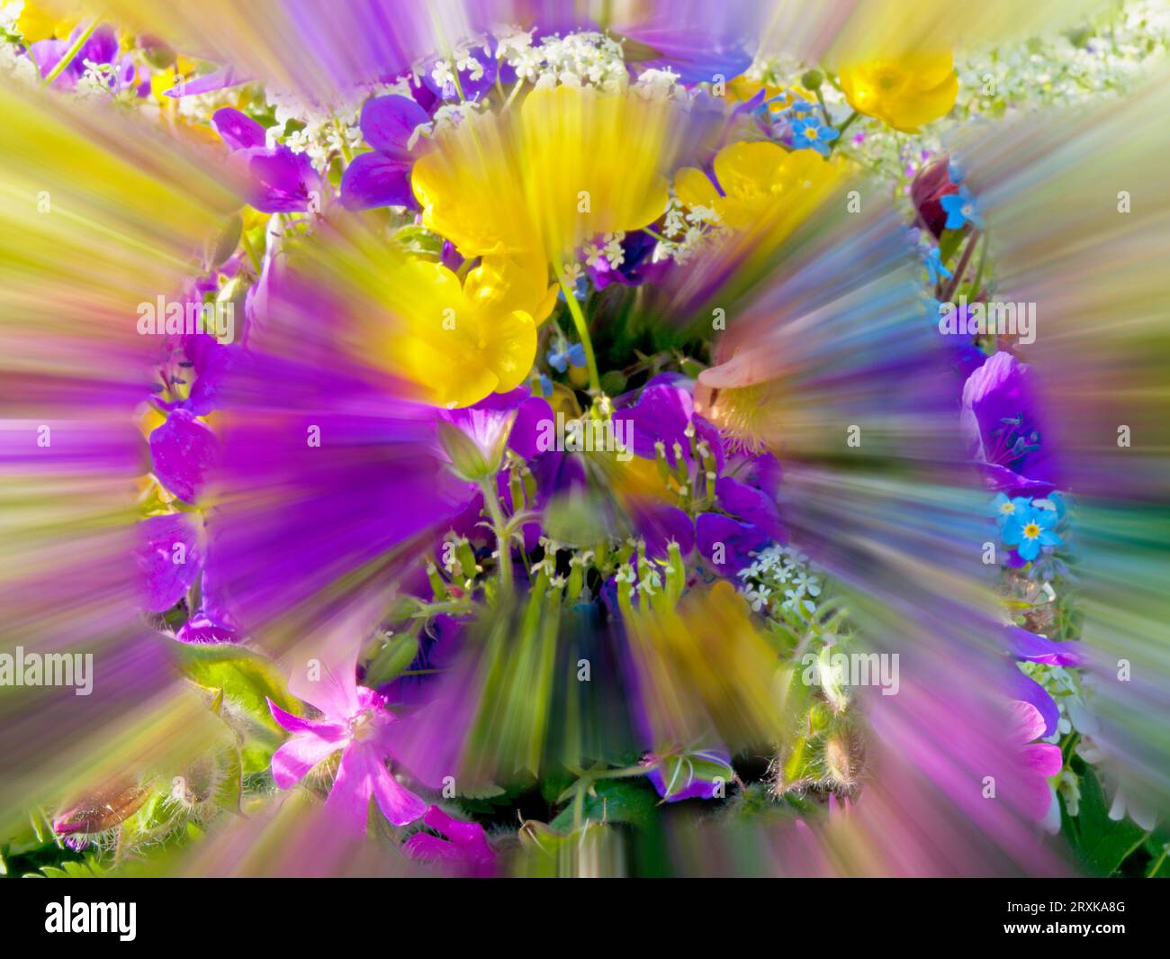 Posy of flowers hi-res stock photography and images - Alamy