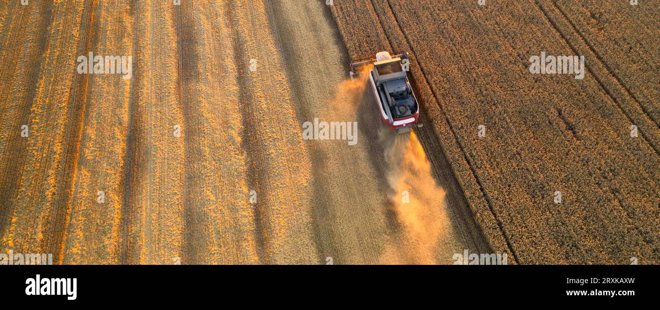 Wheat Waves: Captivating the Combine's Harvesting Rhythm Stock Photo ...