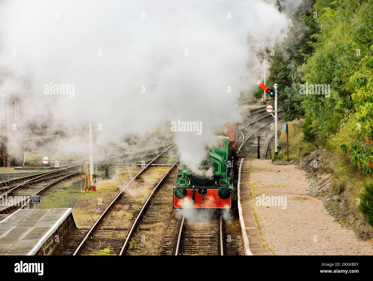 Boat of Garten steam rally a cloud of white steam from the green Bon ...