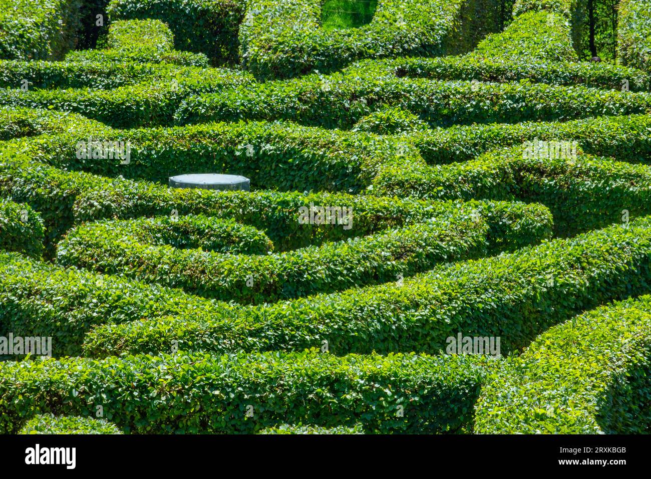 Green labyrinth in the park in Innsbruck, Austria Stock Photo - Alamy