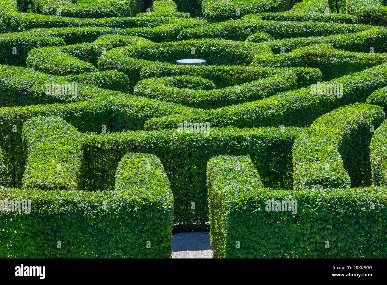 Hedge maze above hi-res stock photography and images - Alamy