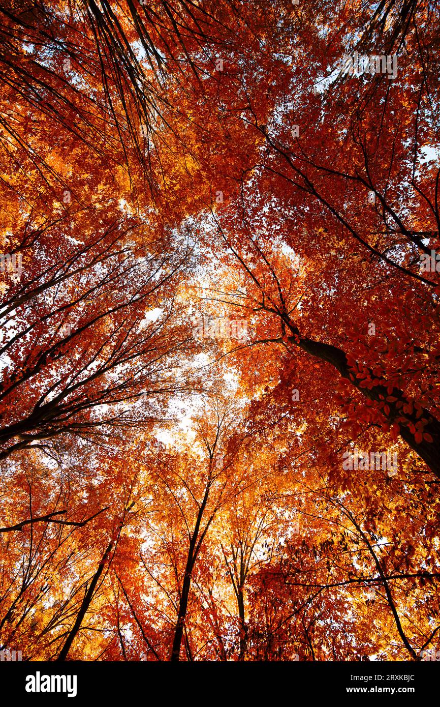 Shades vary hi-res stock photography and images - Alamy