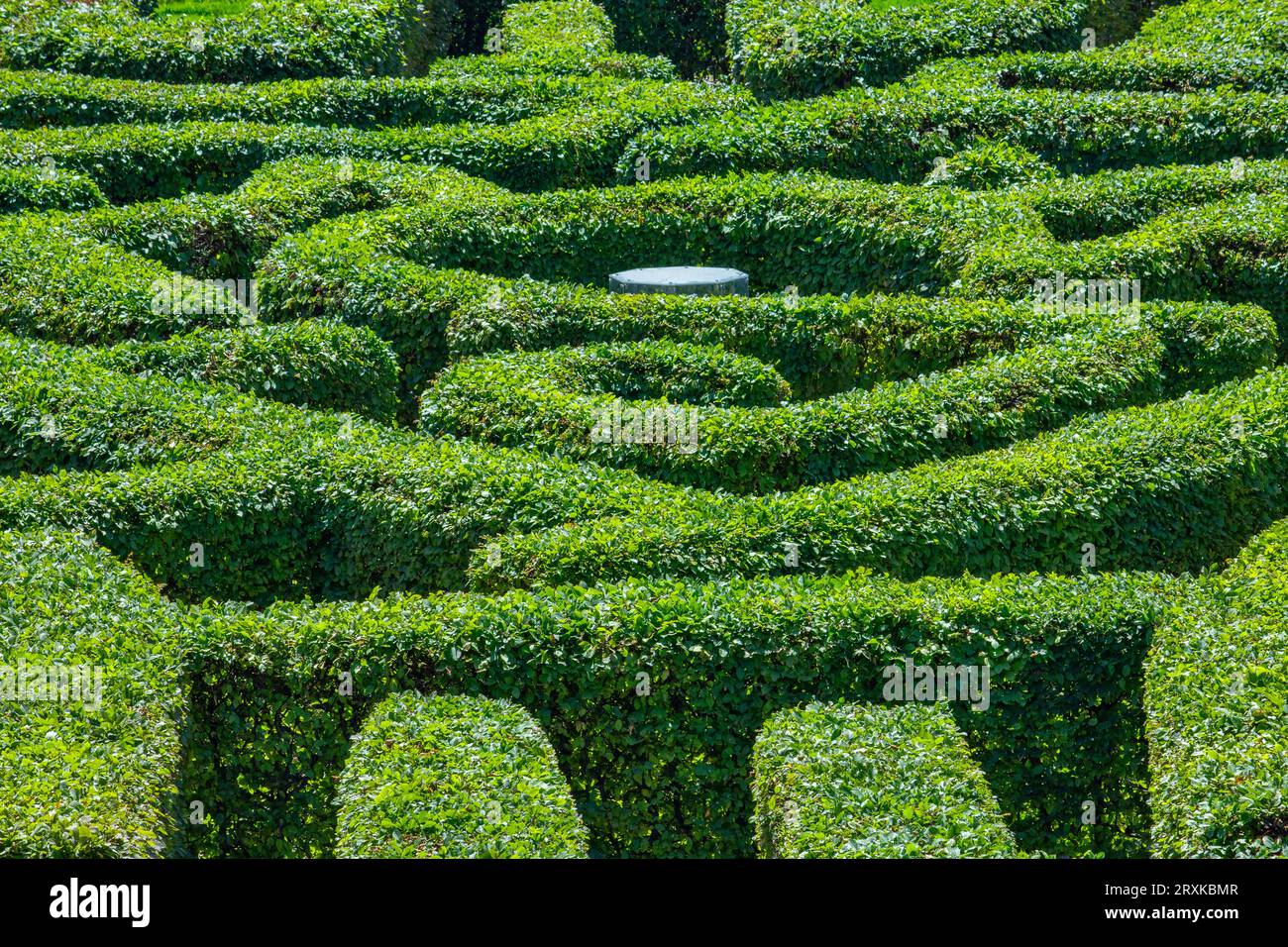 Green labyrinth in the park in Innsbruck, Austria Stock Photo - Alamy
