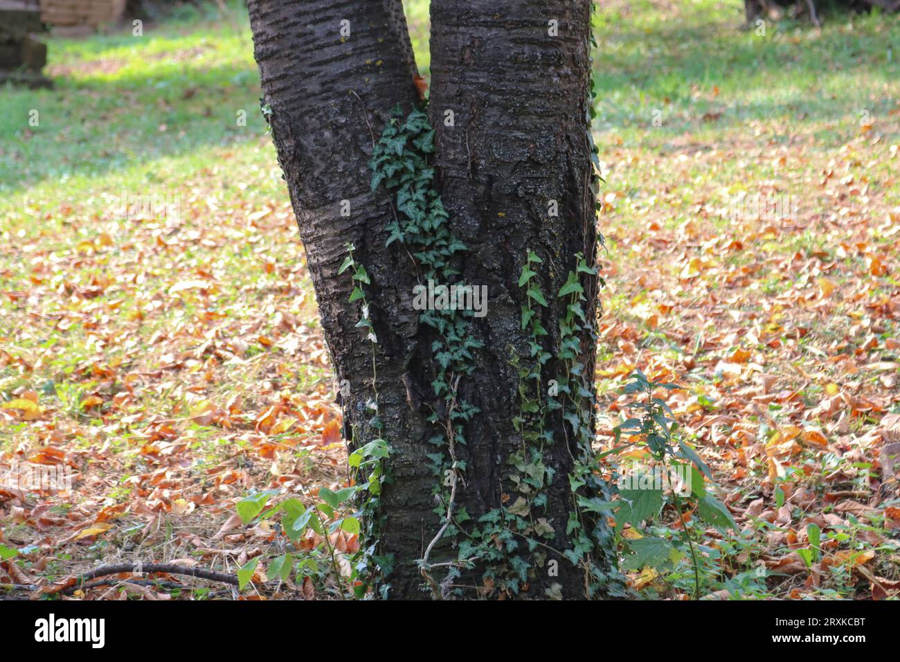 Time theme hi-res stock photography and images - Alamy