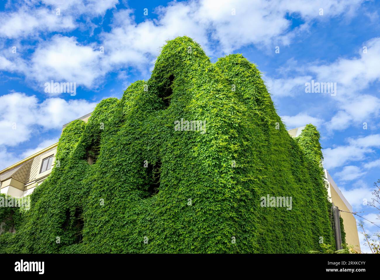 Barrio Lastarria in historic center of Santiago de Chile Stock Photo ...