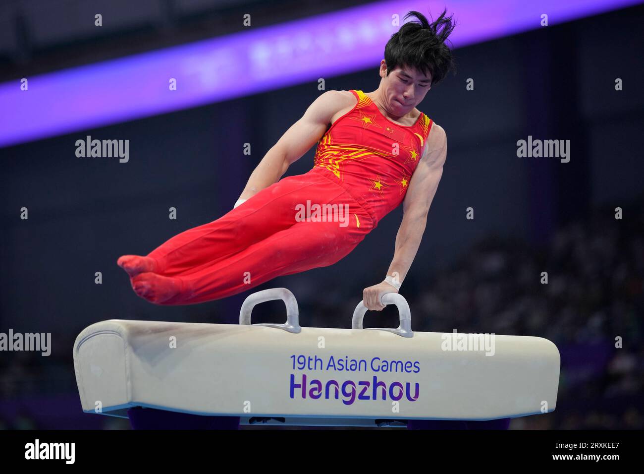 Gold medalist Zhang Boheng pf China performs on the pommel horse as he ...