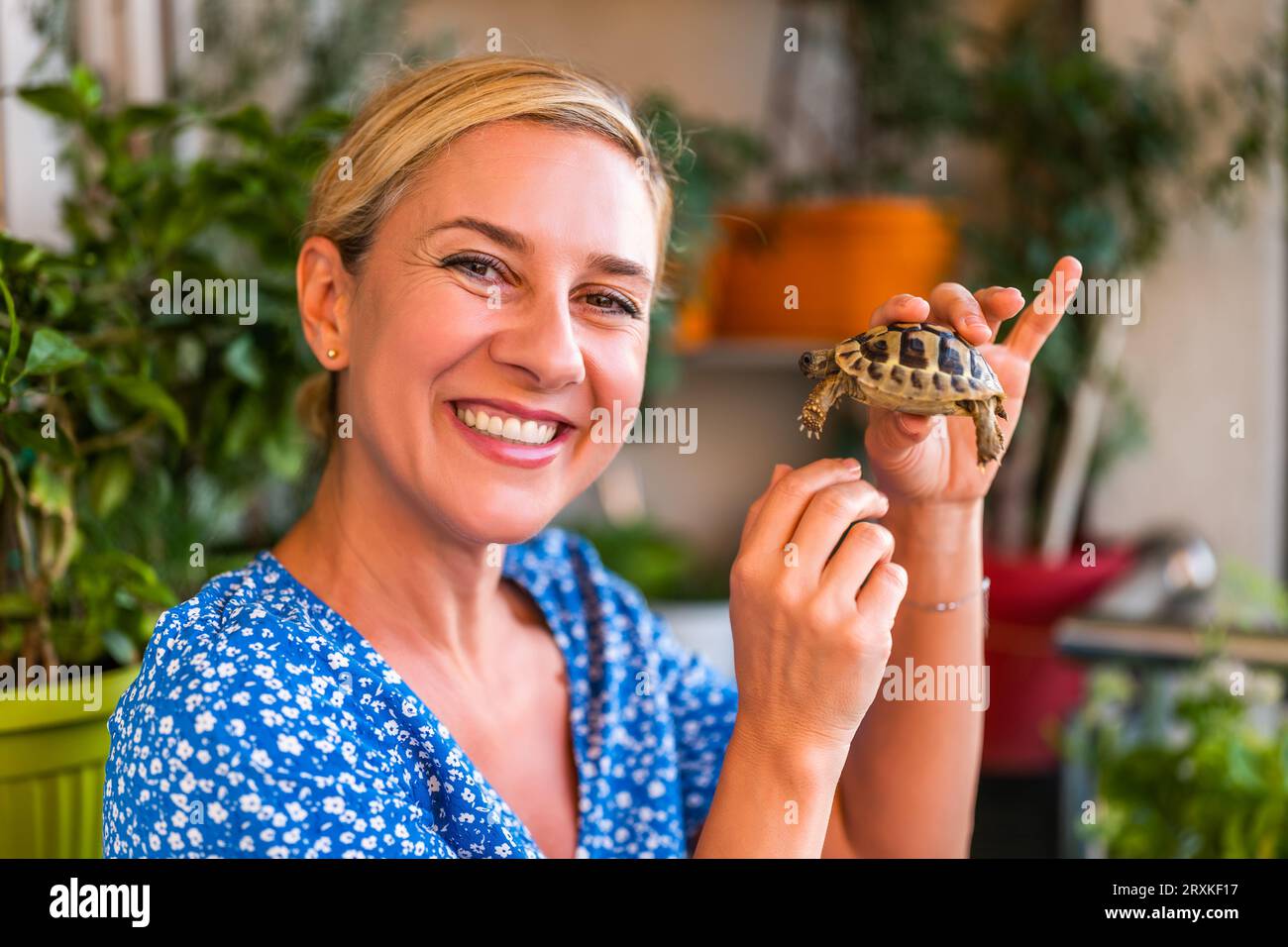 Person holding turtle hi-res stock photography and images - Alamy