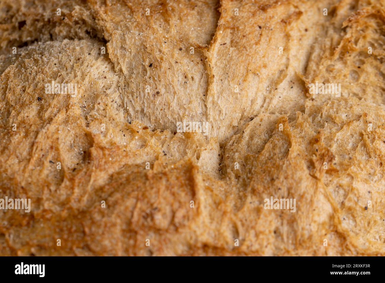 hard crisp crust of a freshly baked loaf of bread, details of a loaf of ...