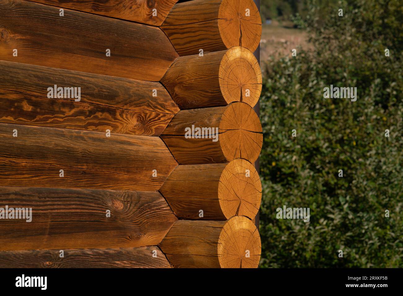 wooden building, with construction details and facade with exposed ...