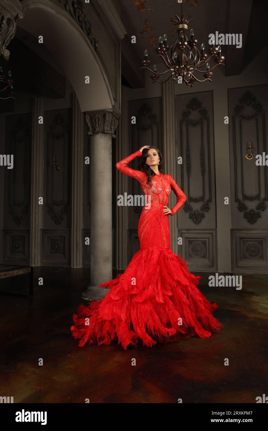 Glamorous young brunette model woman in red evening gown standing in luxurious interior Stock ...