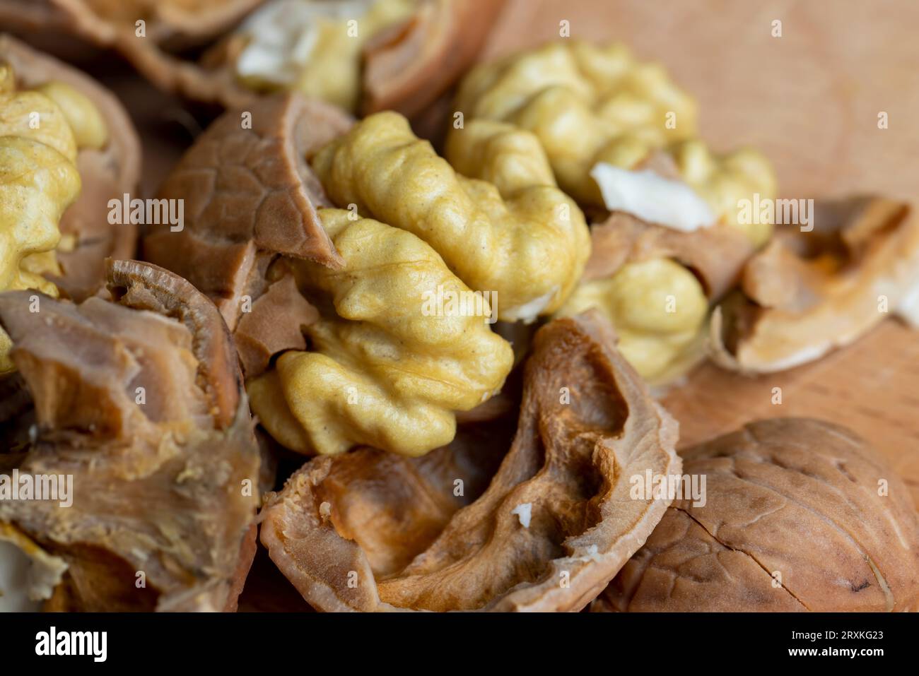 Broken walnut shells hi-res stock photography and images - Alamy