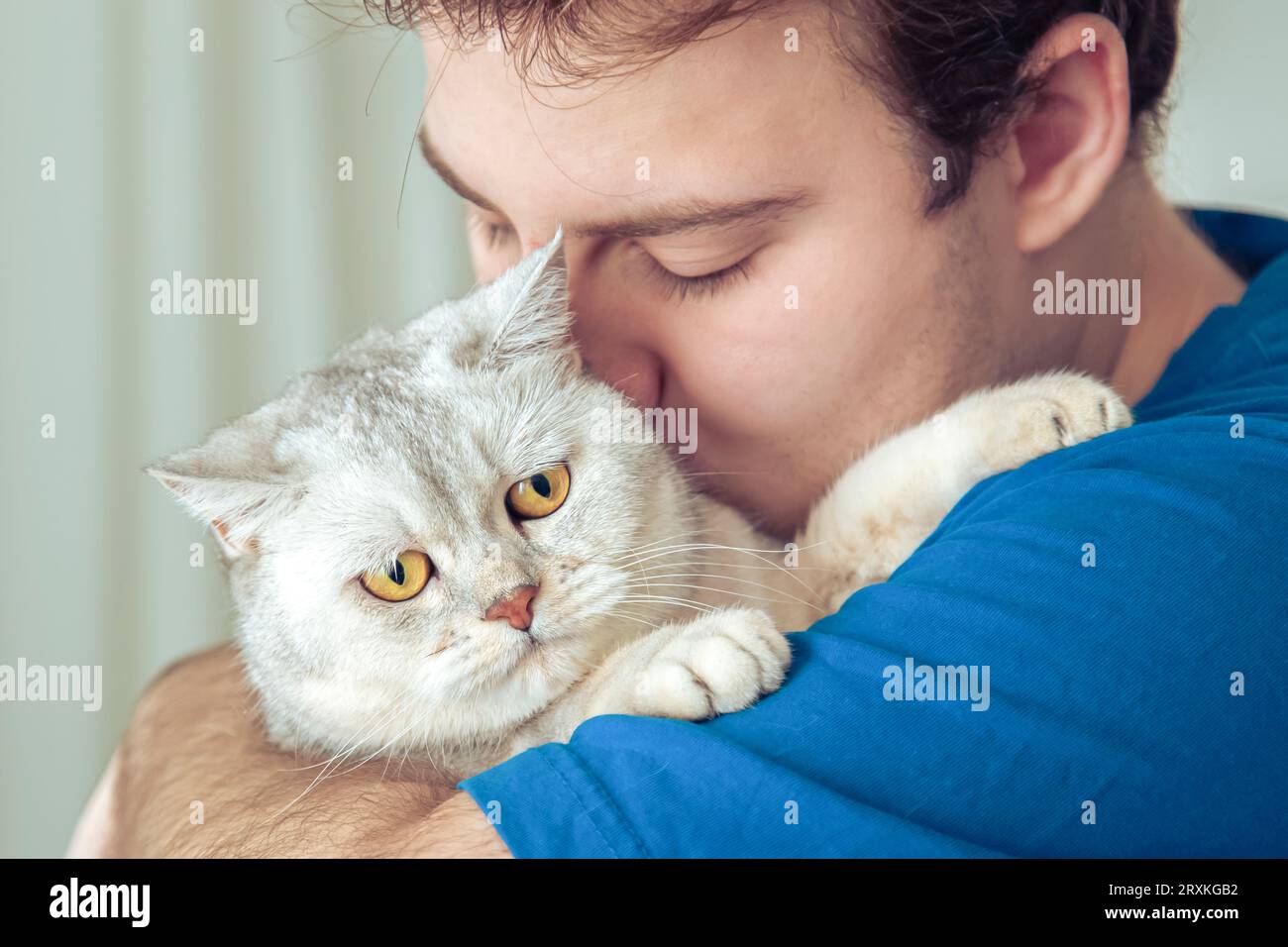 Close-up of the face of a man holding his cute purring British cat ...