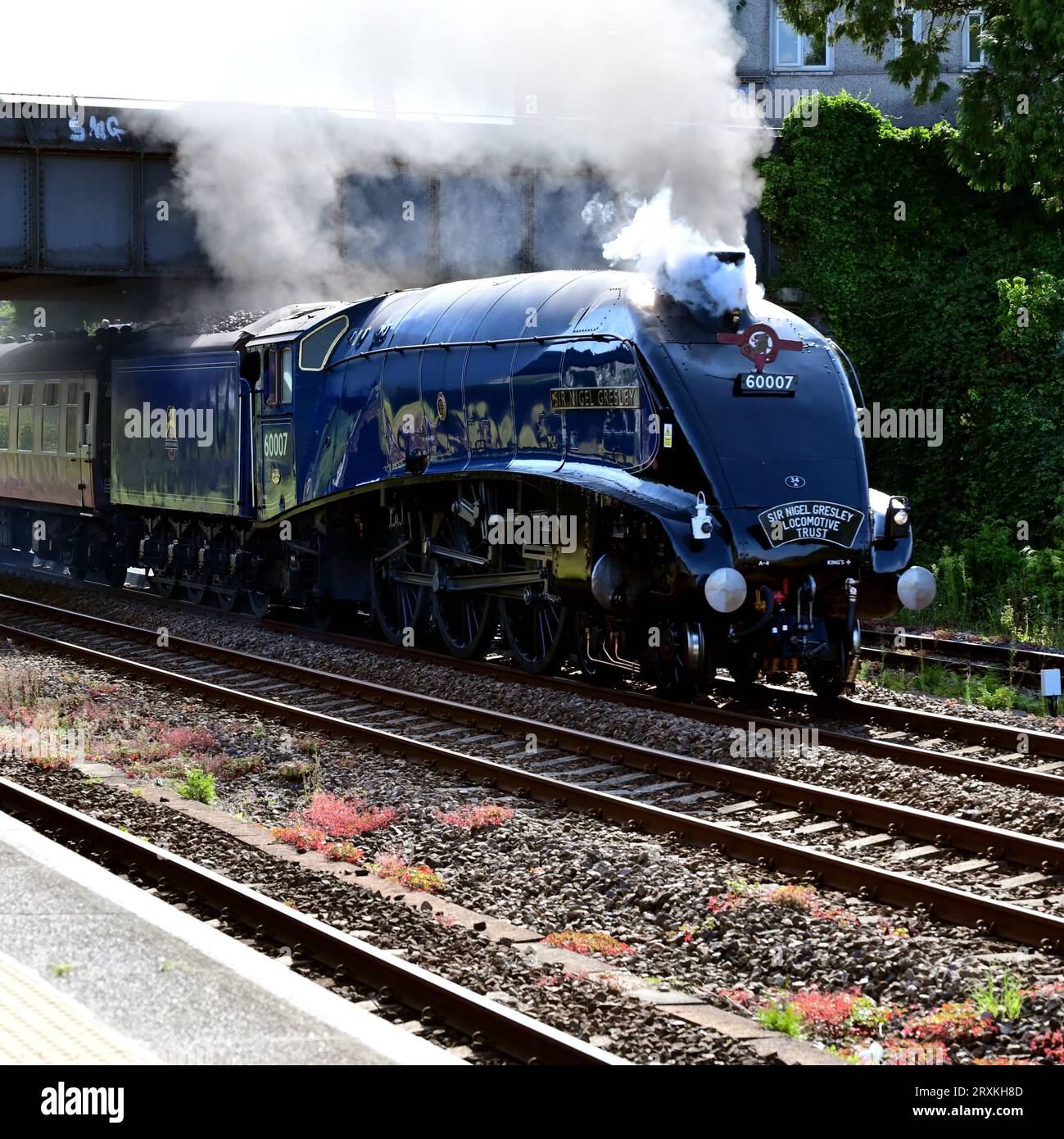 LNER Class A4 Pacific No 60007 Sir Nigel Gresley speeding through Totnes station with the return ...