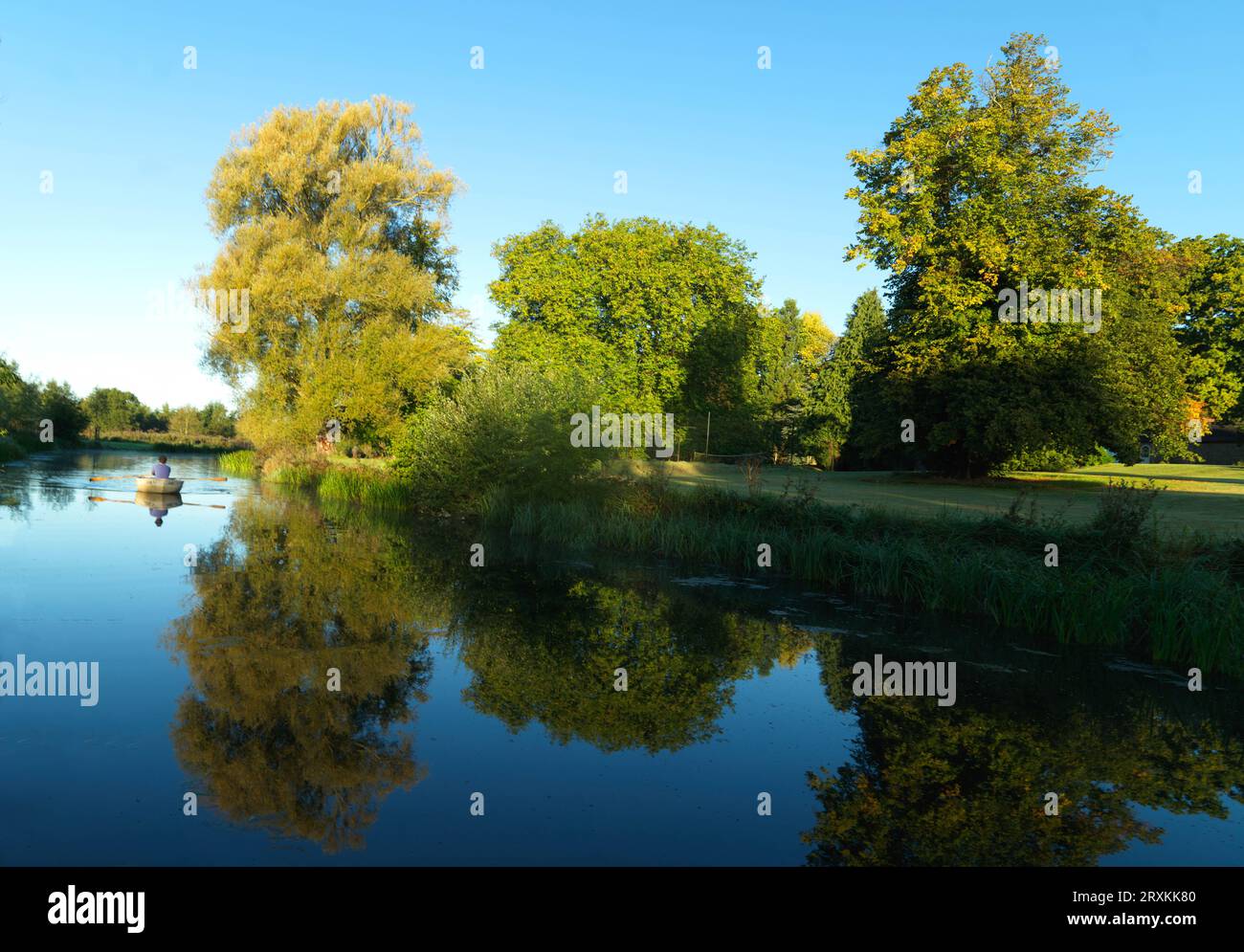 Lush green lake hi-res stock photography and images - Alamy