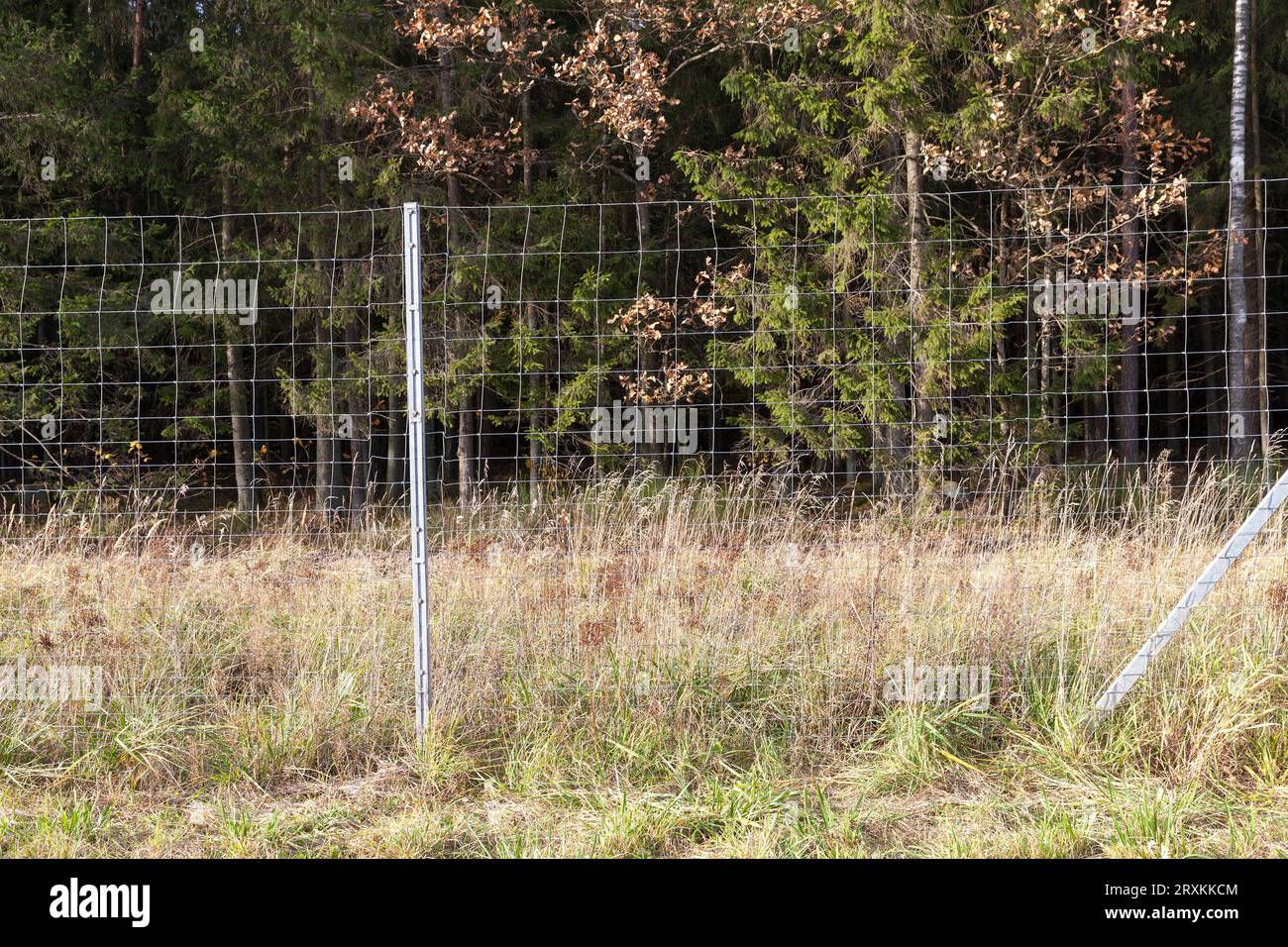 metal fencing in the forest to protect the territory from wild animals ...
