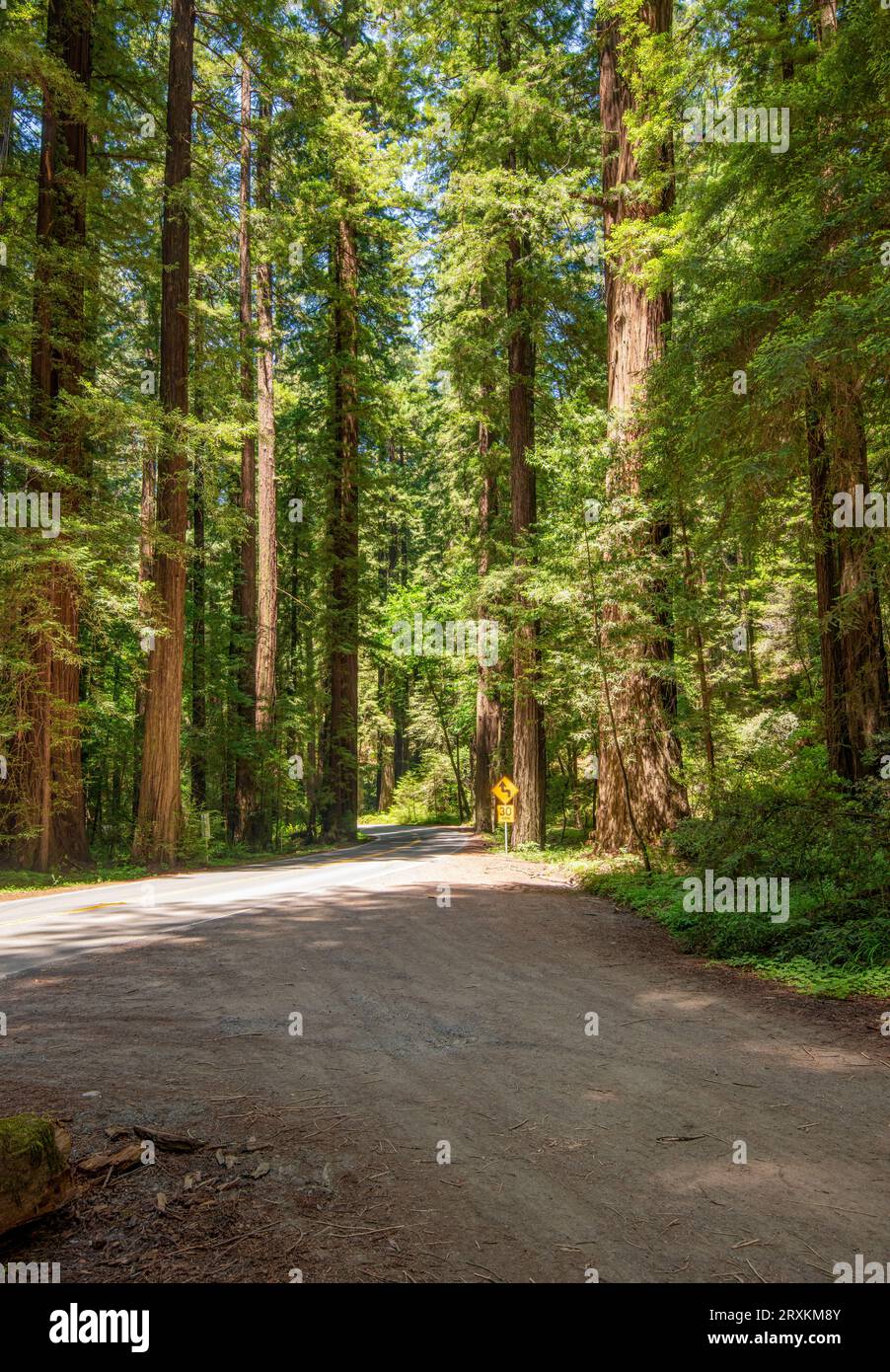 U s route 101 hi-res stock photography and images - Alamy