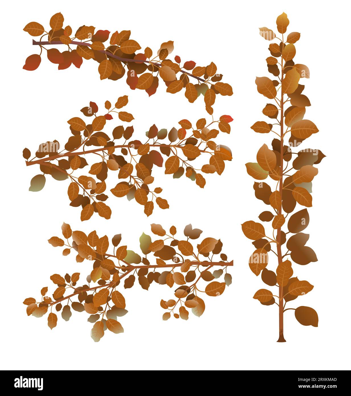 set of branches with leaves in autumn colors. Parts of the landscape ...