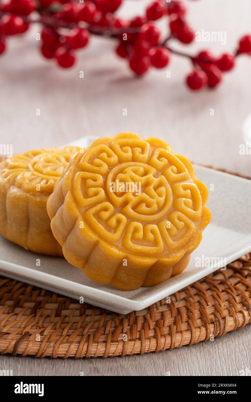 Delicious Cantonese moon cake for Mid-Autumn Festival food mooncake on ...