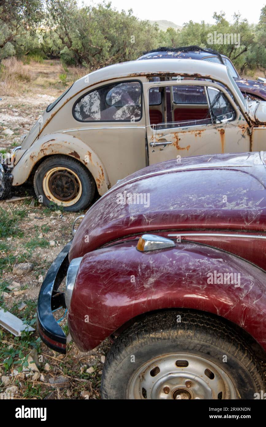 volkswagen beetle motor cars rusting in a greek scrapyard, classic vw collectors cars, vw beetle ...