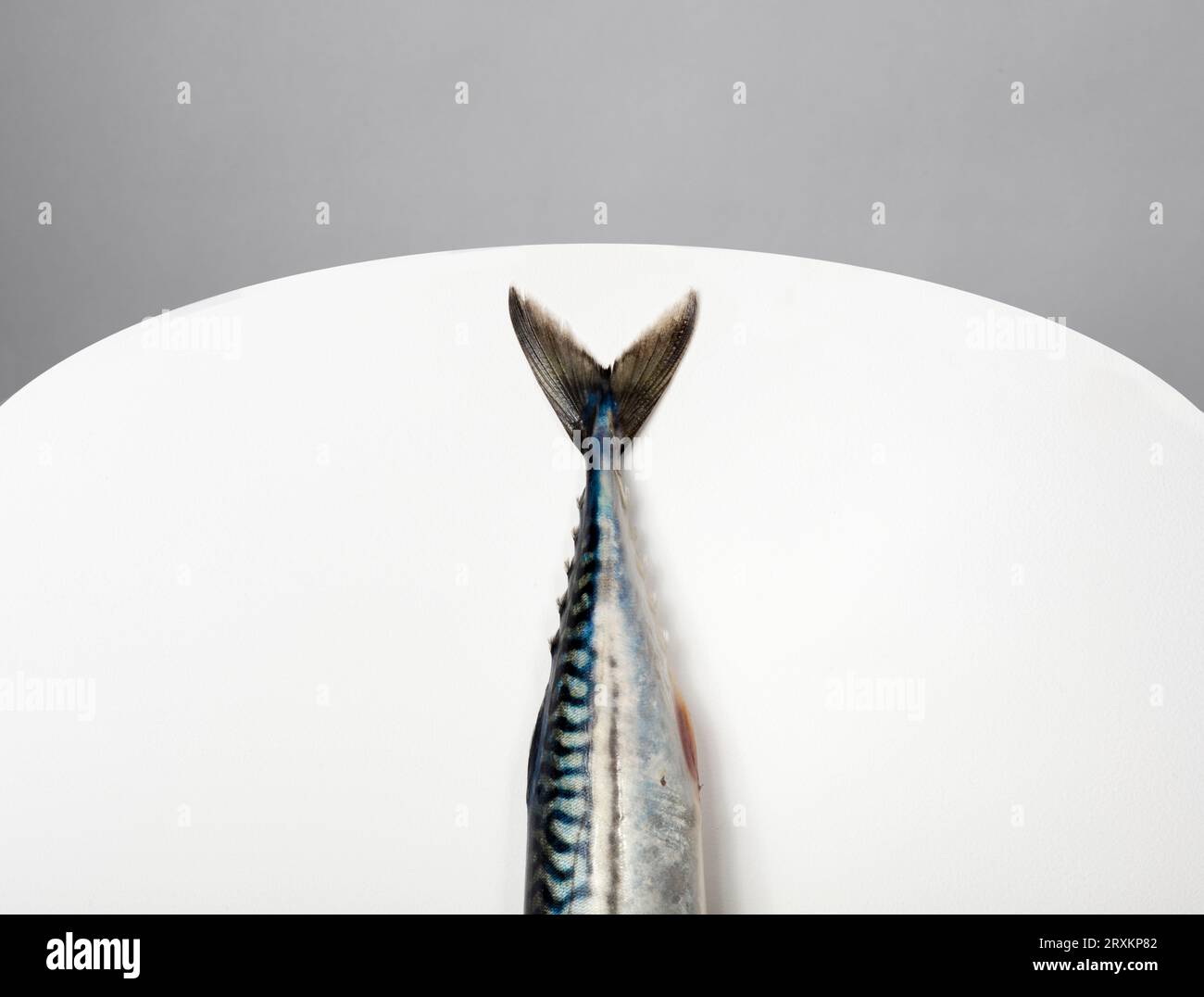 Food plate above series hi-res stock photography and images - Alamy