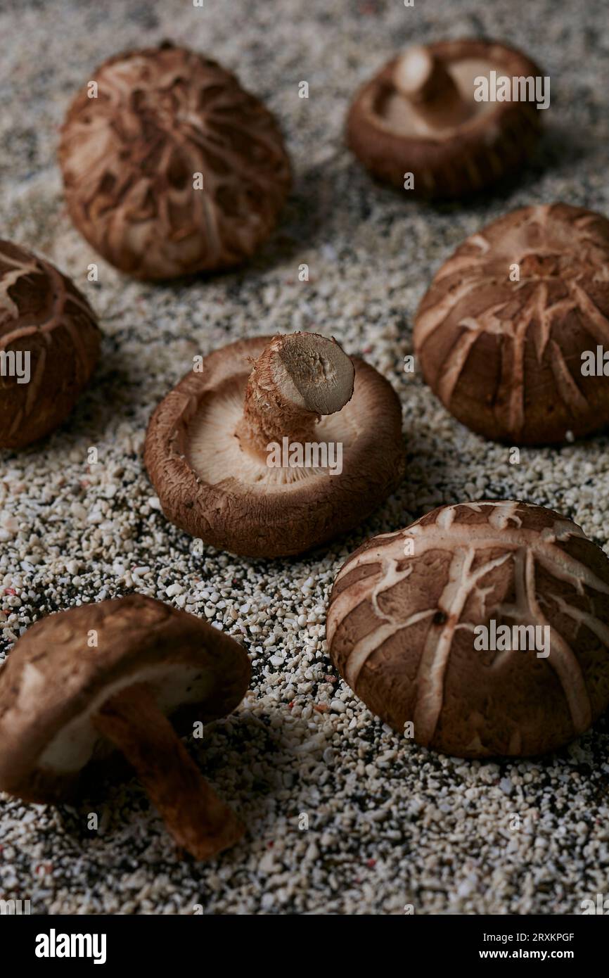 Mushrooms in groups hi-res stock photography and images - Alamy