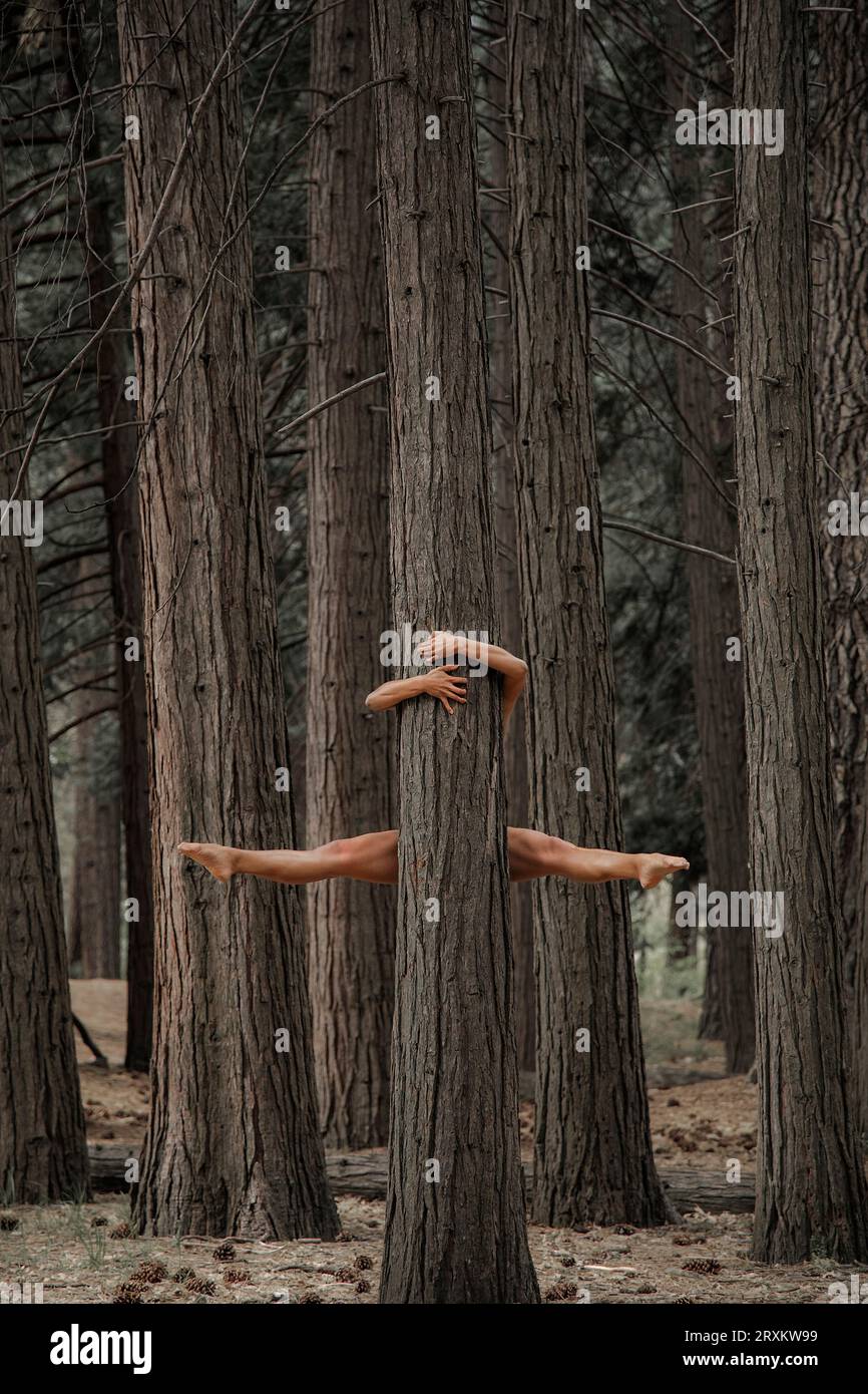 Arms and legs of a woman hugging a tree Stock Photo - Alamy
