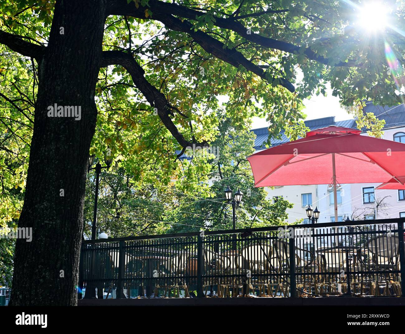 cafe terrace in the park in the shade of trees and a red umbrella Stock ...
