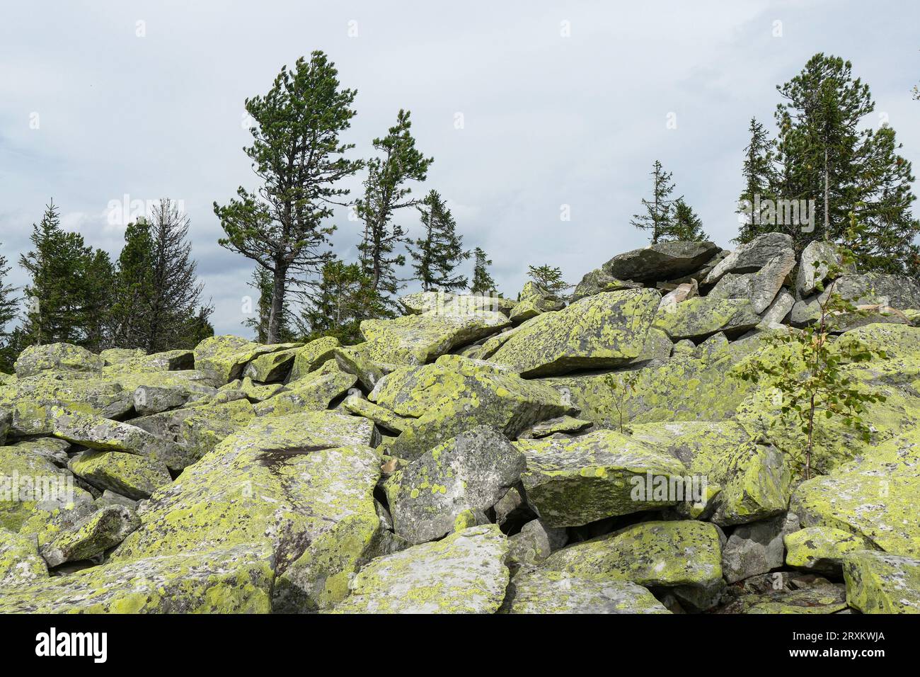 Gorgany region hi-res stock photography and images - Alamy