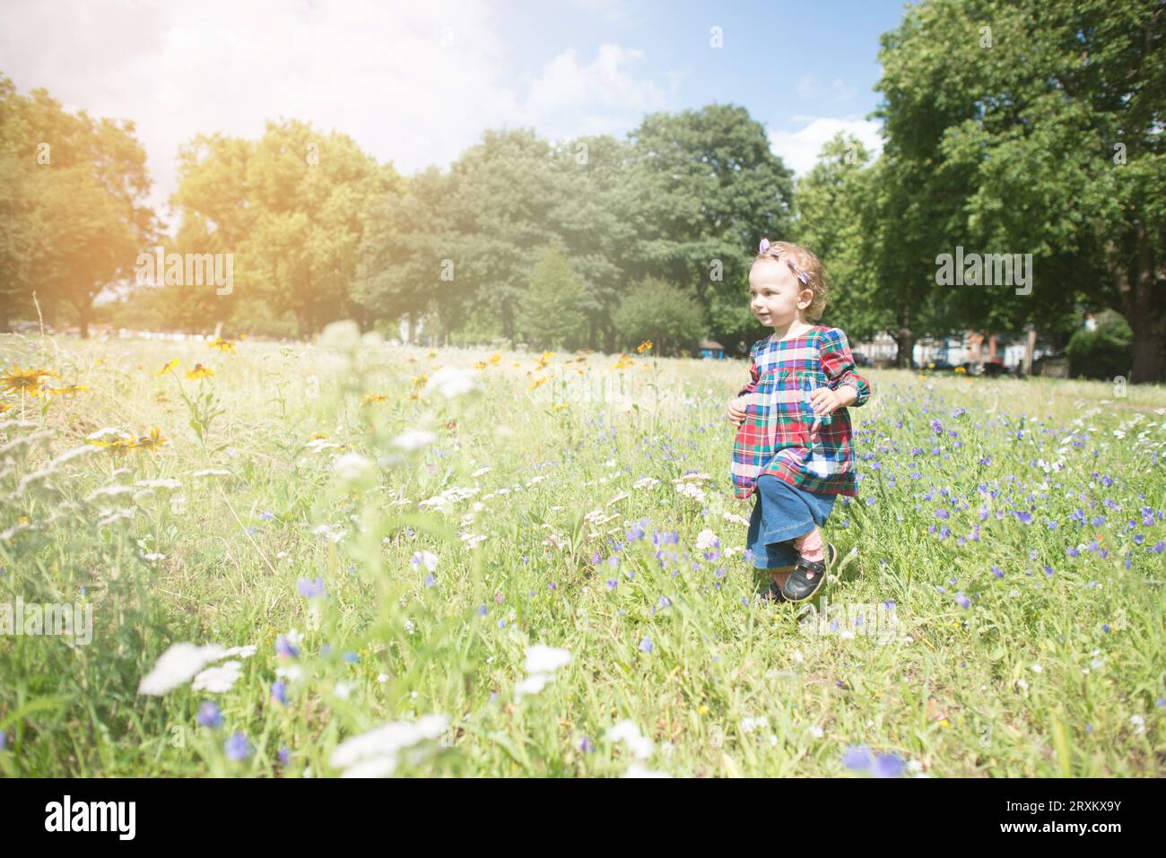 Child and field of flowers hi-res stock photography and images - Alamy
