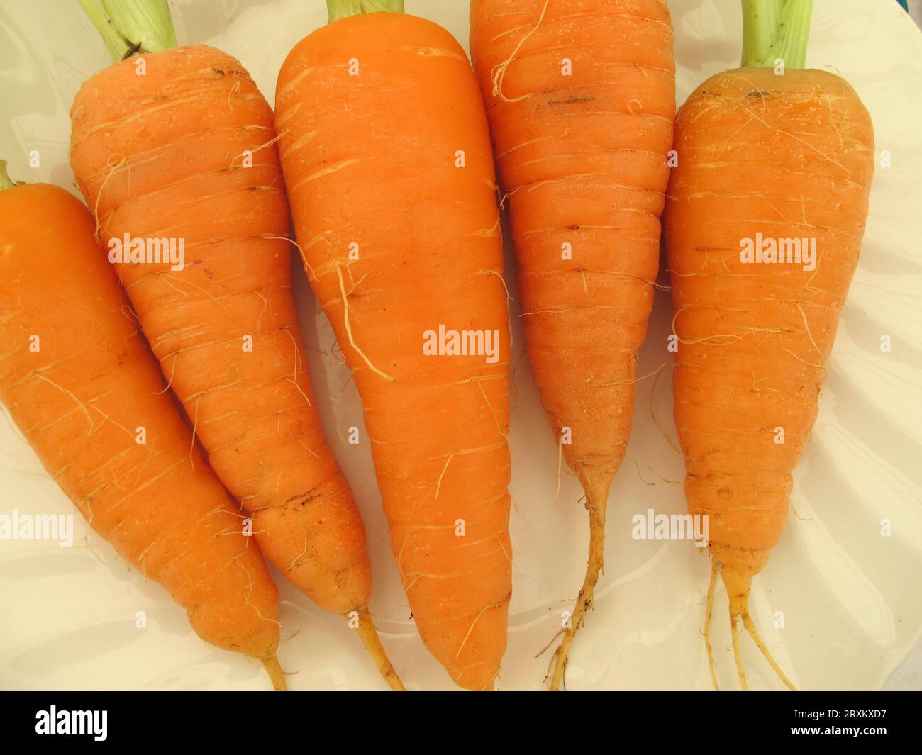 Dhow show hi-res stock photography and images - Alamy