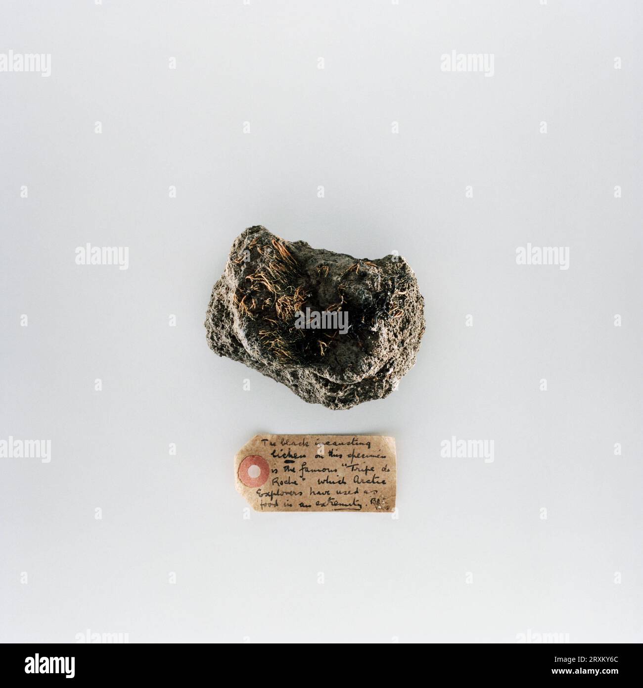 Lichen rock color hi-res stock photography and images - Alamy