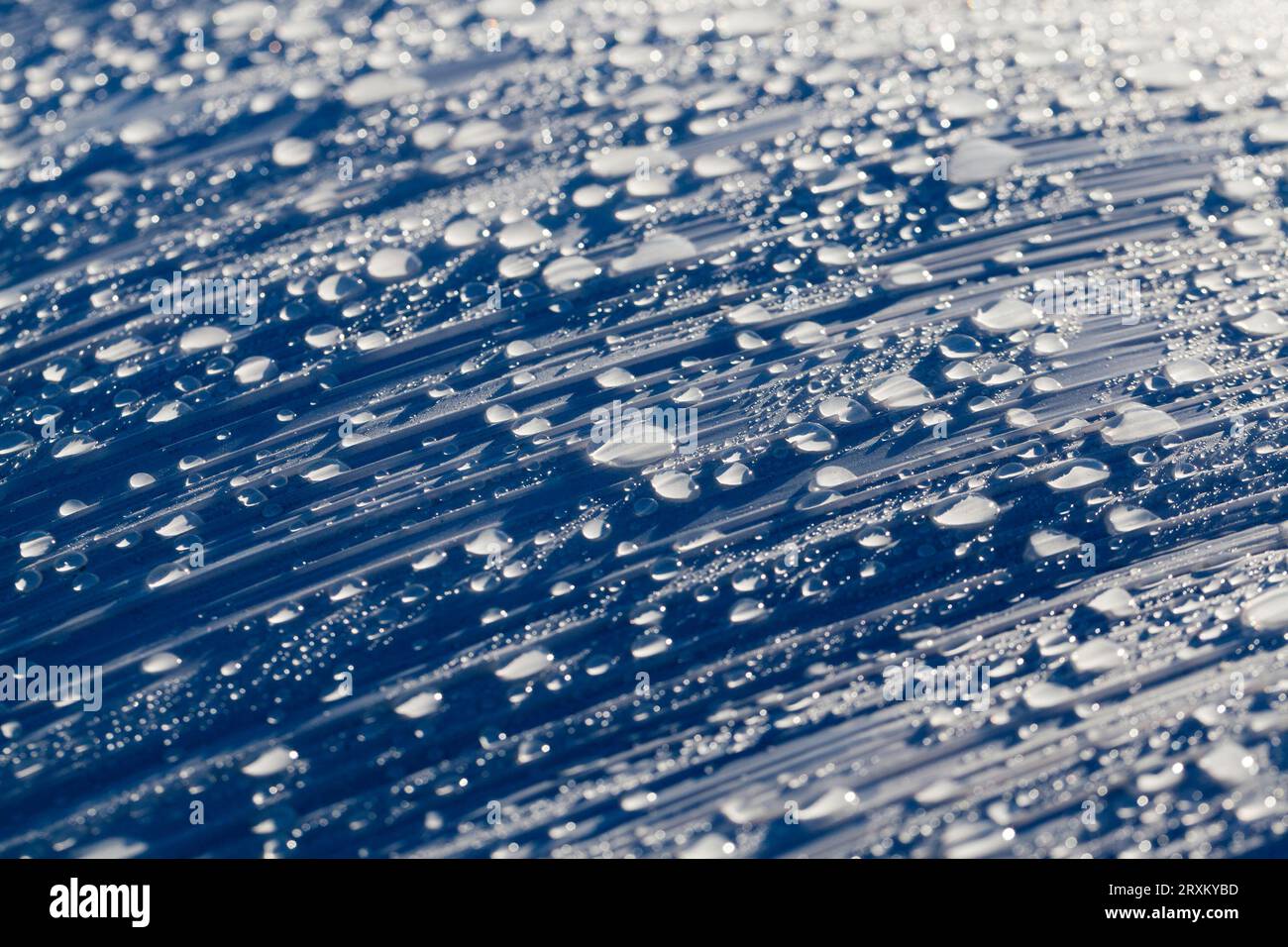 plastic surface of grass packaging covered with water droplets, packed ...