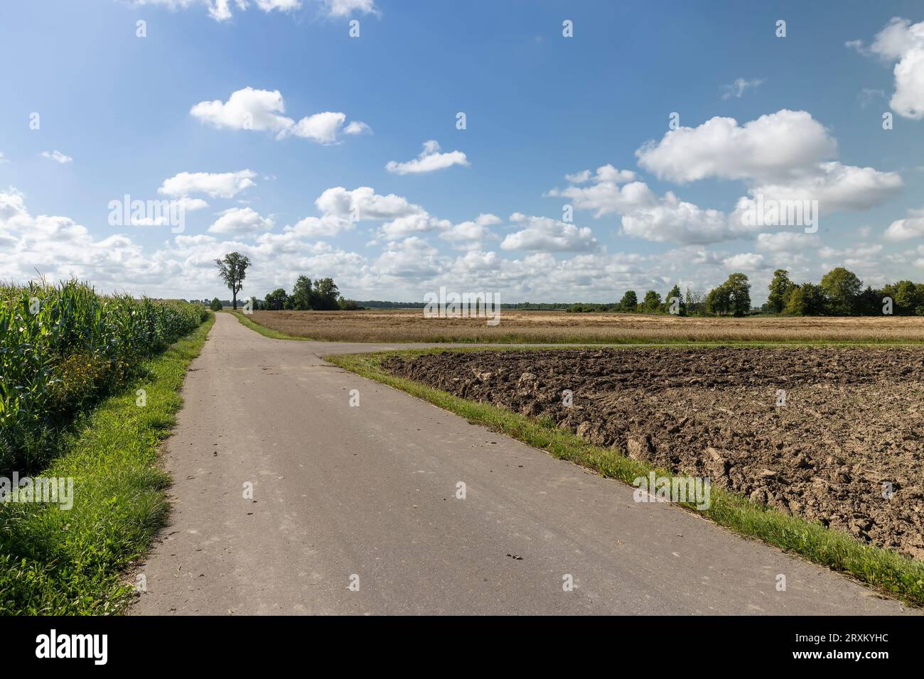 Paved highway in rural areas, part of a simple road in rural areas with ...